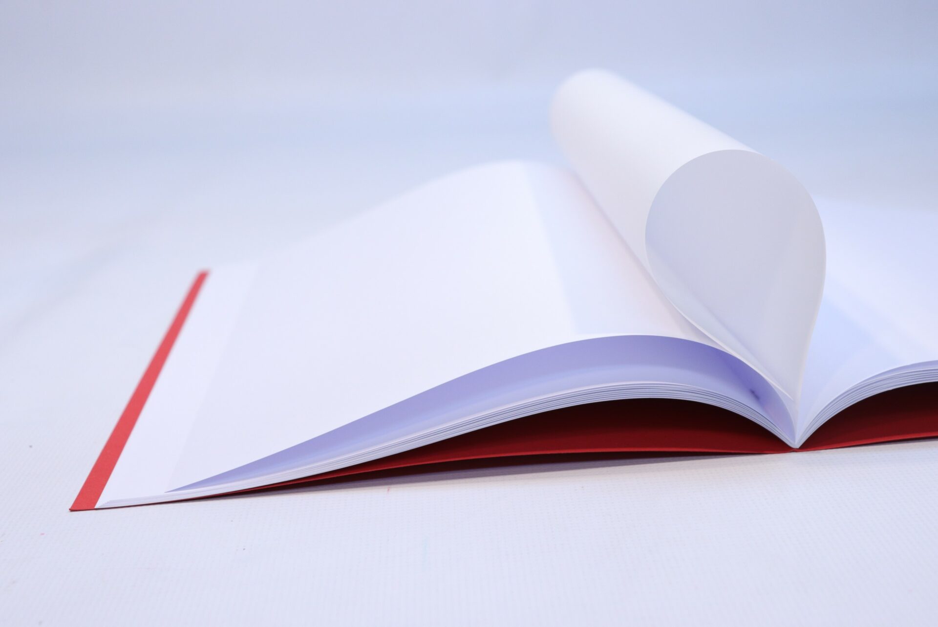 Sedulus Main Lesson Book Portrait Oversize A4 with Tissue paper Red ...